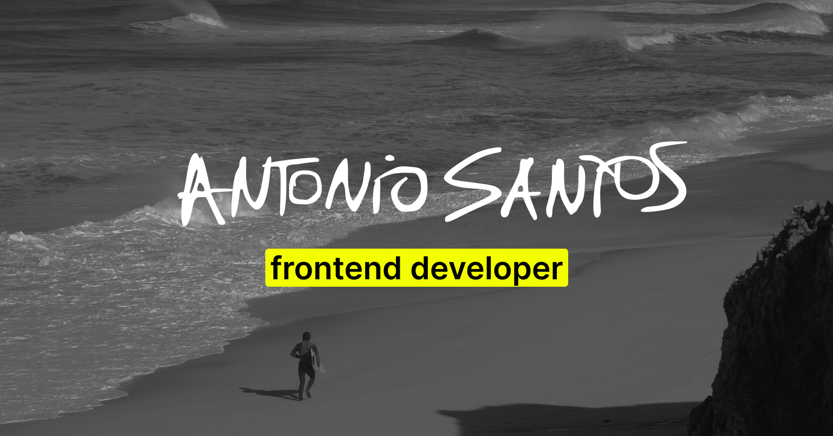 António Santos - Software Developer